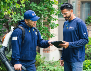 Greenius: Landscaping Training Software - LMN